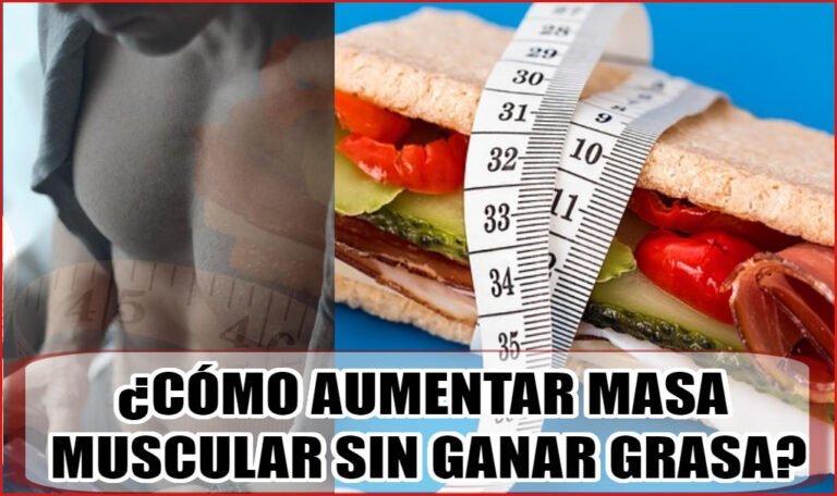 ¿Cómo aumentar masa muscular sin ganar grasa? 7 consejos prácticos